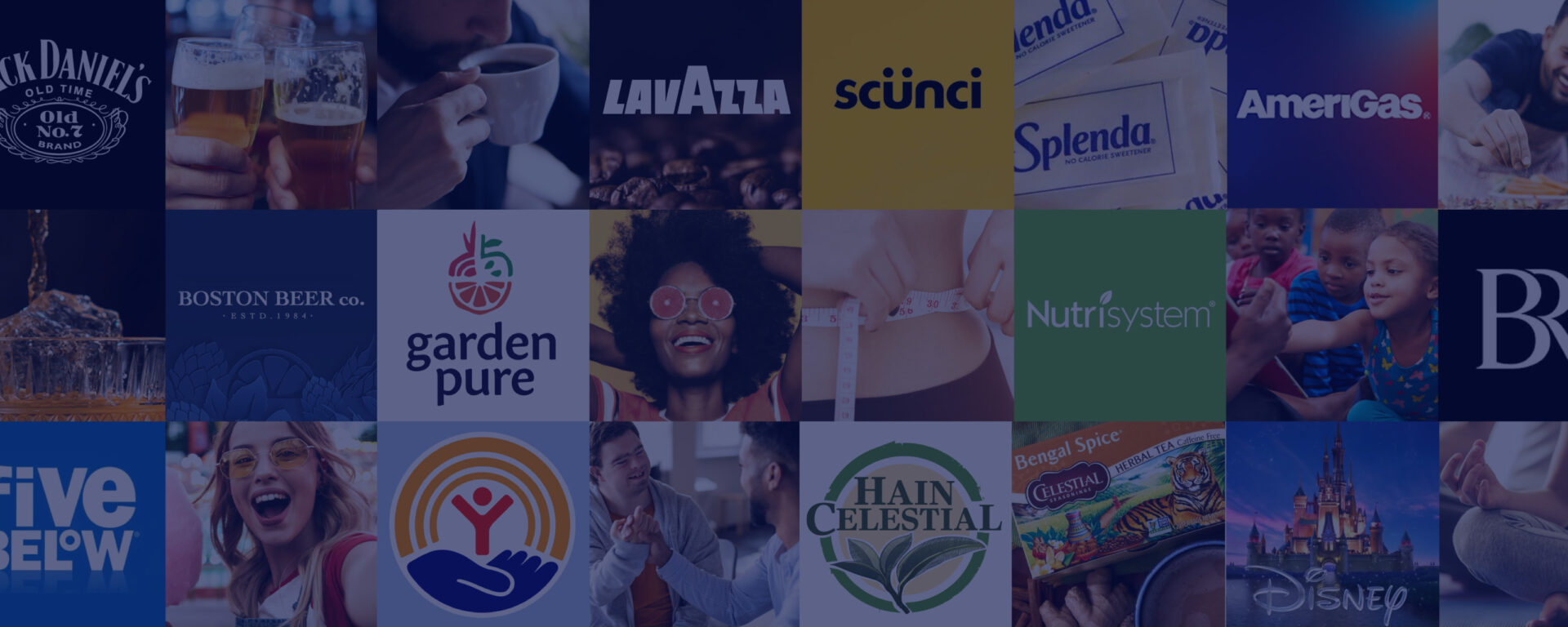 Case Studies | Finch Brands