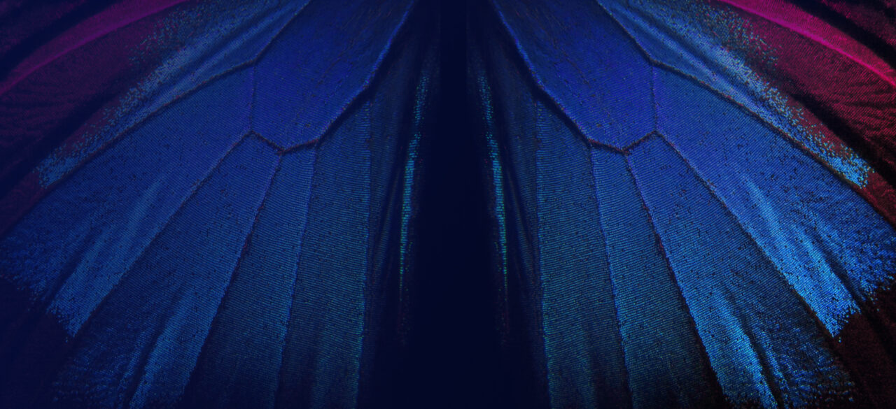 Finch Brands: Real-World Brand Consultancy