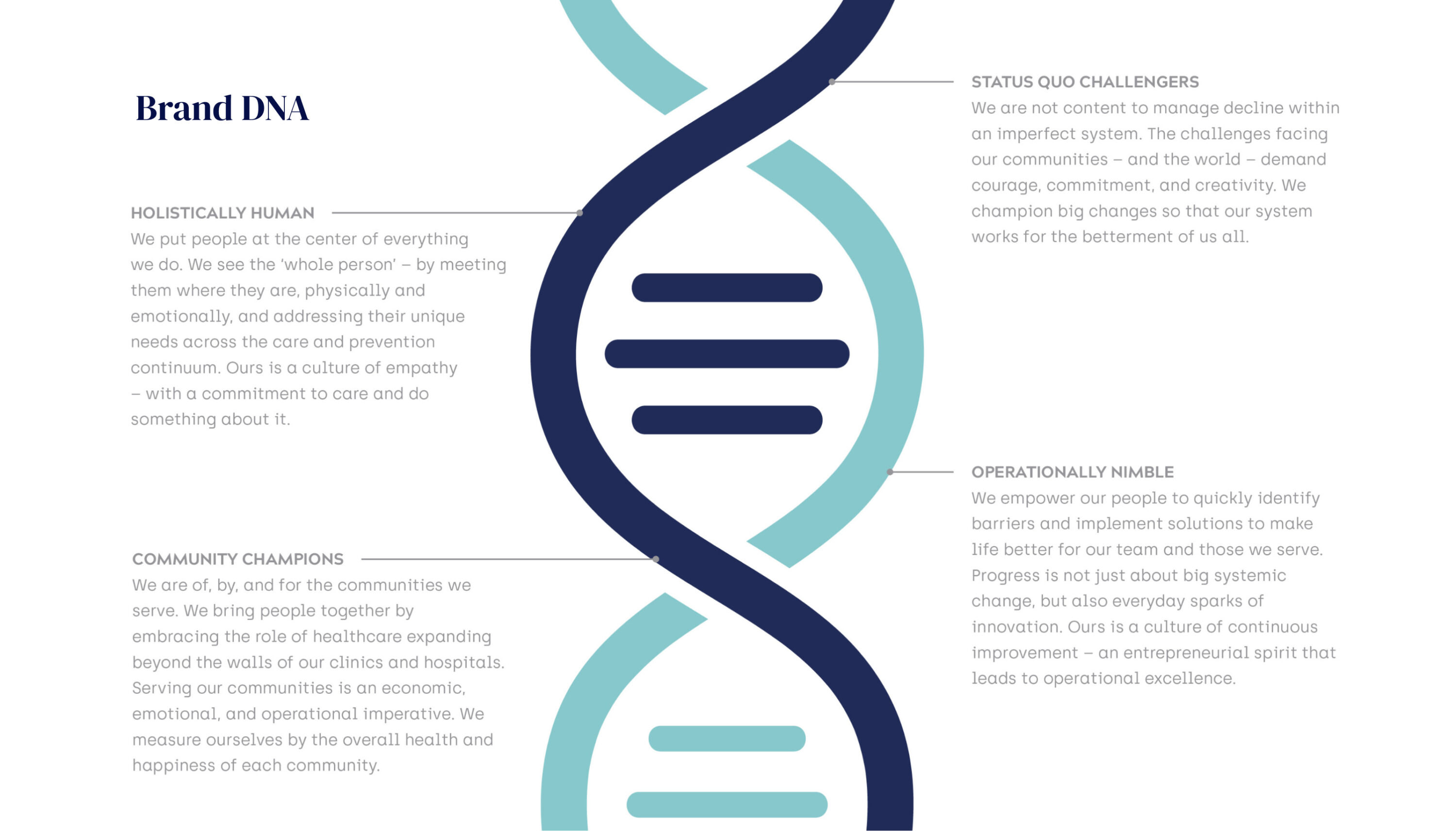 M&A Branding: Bellin-Gundersen Healthcare Merger Case Study | Finch Brands